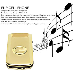 Zyyini G9000 Unlocked Flip Phone, 2.4inch Big Buttons Big Fonts Flip Mobile Phone for Seniors, Dual SIM Card, Loud Volume Speaker, with LED Flashlight, 4800mAh Battery, Gold