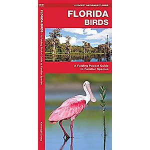 Florida Birds: A Folding Pocket Guide to Familiar Species (Nature Observation North America)