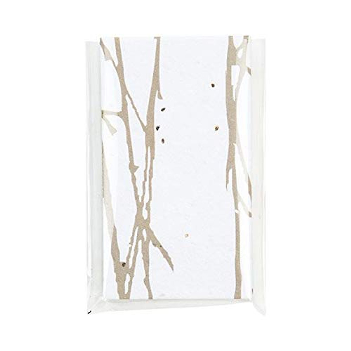 ClearBags Flat Open Top Bags, 2 1/2 x 3 1/2, 100 Pack, Clear Photo Storage Bag, Plastic Sleeves, Sheets for Card, Art, Crafts, Crystal Clear, Archival Safe, B23CNFA