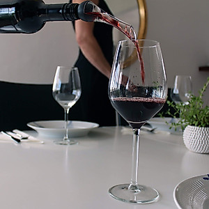 Barvivo Wine Aerator Pourer Spout, Wine Savers Vacuum Pump with 2 Pcs Silicone Wine Stopper - Enjoy & Preserve Red Wine with Our Original Wine Accessories & Wine Gifts - Ultimate Wine Saver Wine Kit