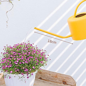 Garden Watering Can Watering Can Indoor for House Plants Indoor and Outdoor Long Spout Watering Can for Succulent Garden Bonsai Garden Flower with Plastic Plant Mister, 1.3L Watering Can for Outdoor P