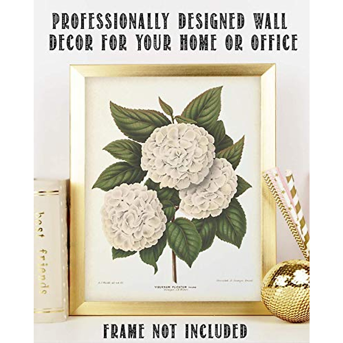 Vintage Japanese Snowball Flower Illustration - Classic Botanical Poster, Home and Graden Decoration, Cottagecore Room Decor, Vintage Flower Wall Display Gift, 11x14 Unframed Art Print Poster