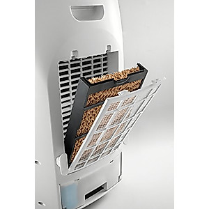 DeLonghi America America Portable Evaporative Cooler, White