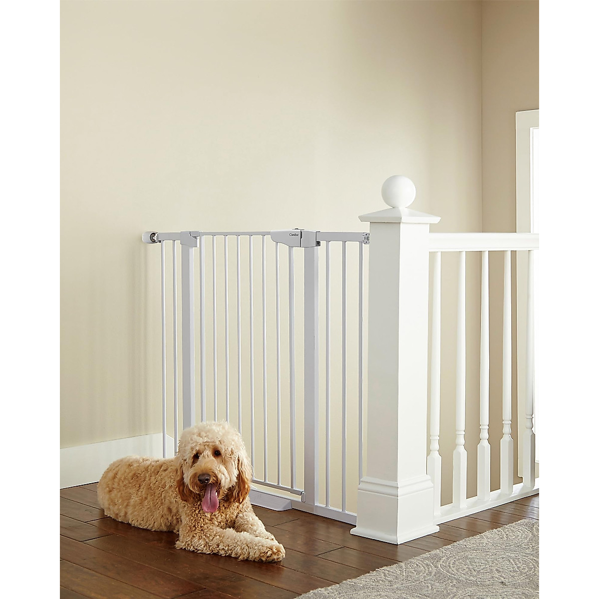 Cumbor 36" Extra Tall, 29.7"- 46" Width Baby Gate for Dogs and Kids & Cumbor 30.5" Tall 29.5"-51.6" Width Dog Baby Gate for House, Stairs, Doorways
