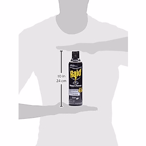 Raid Wasp and Hornet Killer Spray, Kills the entire nest, Kills Paper Wasps, Yellow Jackets, Mud Daubers and more, 14 oz