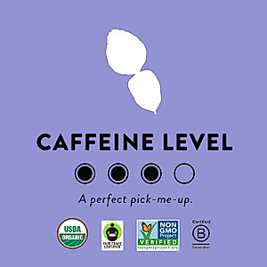 Choice Organics - Organic Earl Grey Tea (6 Pack) - With Bergamot - Fair Trade - Compostable - Contains Caffeine - 96 Organic Black Tea Bags