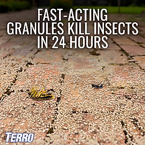TERRO T901SR Ant Killer Plus Multi-Purpose Insect Control for Outdoors - Kills Fire Ants, Fleas, Cockroaches, and Other Crawling Insects - 2 Pack, Granule