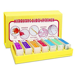 Bysameyee 35PCS Prepared Microscope Slides with 7 Types Specimens, Insect/Plant Glass Sample Slide for Kids Adults Family Preschool Education Scientific Enlightenment