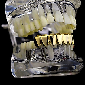 Bottom Eight Tooth Grillz 14k Gold Plated Lower Row Slugs Plain 8 Teeth Hip Hop Grills