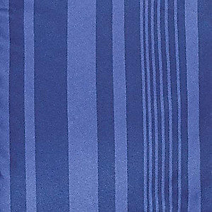 Amazon Basics Lightweight Microfiber Bed-In-A-Bag 5 Piece Comforter Bedding Set, Twin/Twin XL, Blue Calvin Striped
