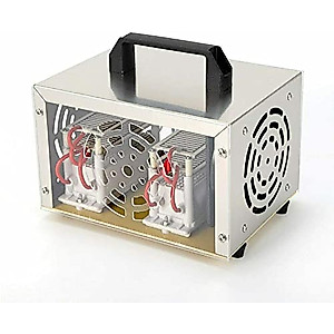 20000mg/h 0zone Generator with Timer 10A 30-60W 20g Machine with Stainless Steel Case For Fruit Meat and Home (Ships from The US)