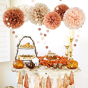 AOBKIAT Boho Wedding Decorations Set,28 PCS Dusty Brown Tissue Paper Pom Poms,Circle Dots Garland Paper Tassels Hanging Backdrop for Baby Shower,Birthday,Bridal Showers,Fall Party Supplies