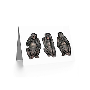 Wee Blue Coo See Hear Speak NO Evil Blank Greetings Birthday Card Art