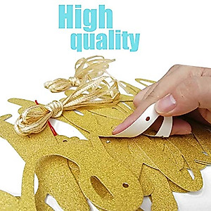 Bachelorette Party Decorations Glitter Gold"Pop The Bubbly She is Getting A Hubby" Banner Bridal Shower Engagement Wedding Girls Night Out Hen Party Supplies Golden Photo Props