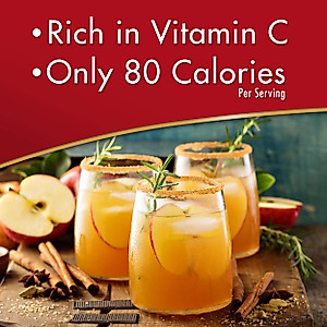 Alpine Spiced Cider Original Drink Mix, Apple Flavor, 120 Pouches