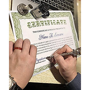 SCHOWE Antique Two-Color Feather Pen Quill Pen Dip Pen With Envelope Writing Paper Calligraphy Pen and Ink Set(pheasant)