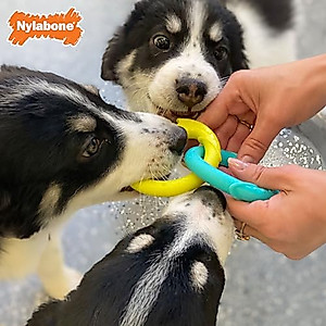 Nylabone Power Play Puppy Tug-a-Ball - Puppy Tug Toy - Interactive Puppy Enrichment Toys - Puppy Must Haves (1 Count)
