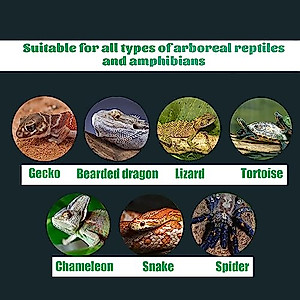 Woyrise Reptile Hide Box with Sink Humidifier Gecko Hideout Cave Lizards Hideaway with Flexible Vine Decor and Bowl for Bearded Dragons Lizards Spiders Snakes