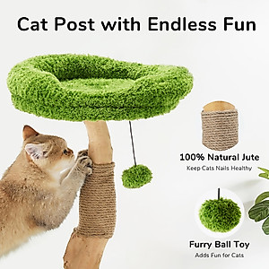 Cat Scratching Post, 20" Plant Style Kitten Scratcher, FUKUMARU Solid Wood Cat Post with Bed, Small Cat Tower Tree with Natural Jute Rope for Indoor Kitten & Cats