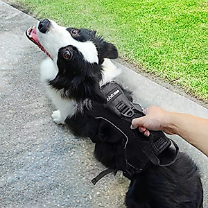 rabbitgoo Escape Proof Dog Harness, Soft Padded Full Body Pet Harness, Reflective Adjustable No Pull Vest with Lift Handle and Leash Clip for Large Dogs Walking Hiking Training, L, Black
