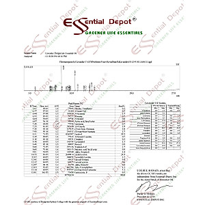 Bulgarian Lavender Essential Oil - 4 oz - GC/MS Tested - Skin Safe - Supplied in 4 oz. Amber Glass Bottle with Black Phenolic Cone Lined and Safety Sealed Cap