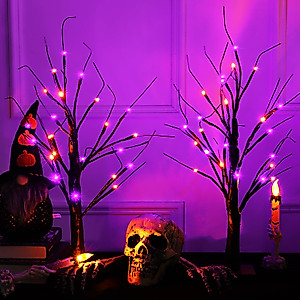 Efunly 2 Pack 24 Inch Halloween Black Spooky Tree with Orange & Purple Lights, USB&Battery Operated Tabletop Halloween Black Tree with Timer for Halloween Decorations Indoor Home Holiday Party