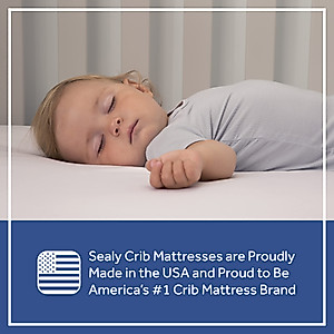 Sealy Posture Haven Orthopedic Antibacterial 2-Stage Dual Firm Waterproof Baby Crib Mattress & Toddler Bed Mattress, Non-Toxic, Air Quality Certified, 182 Premium Coils, Made in USA, 52"x28"