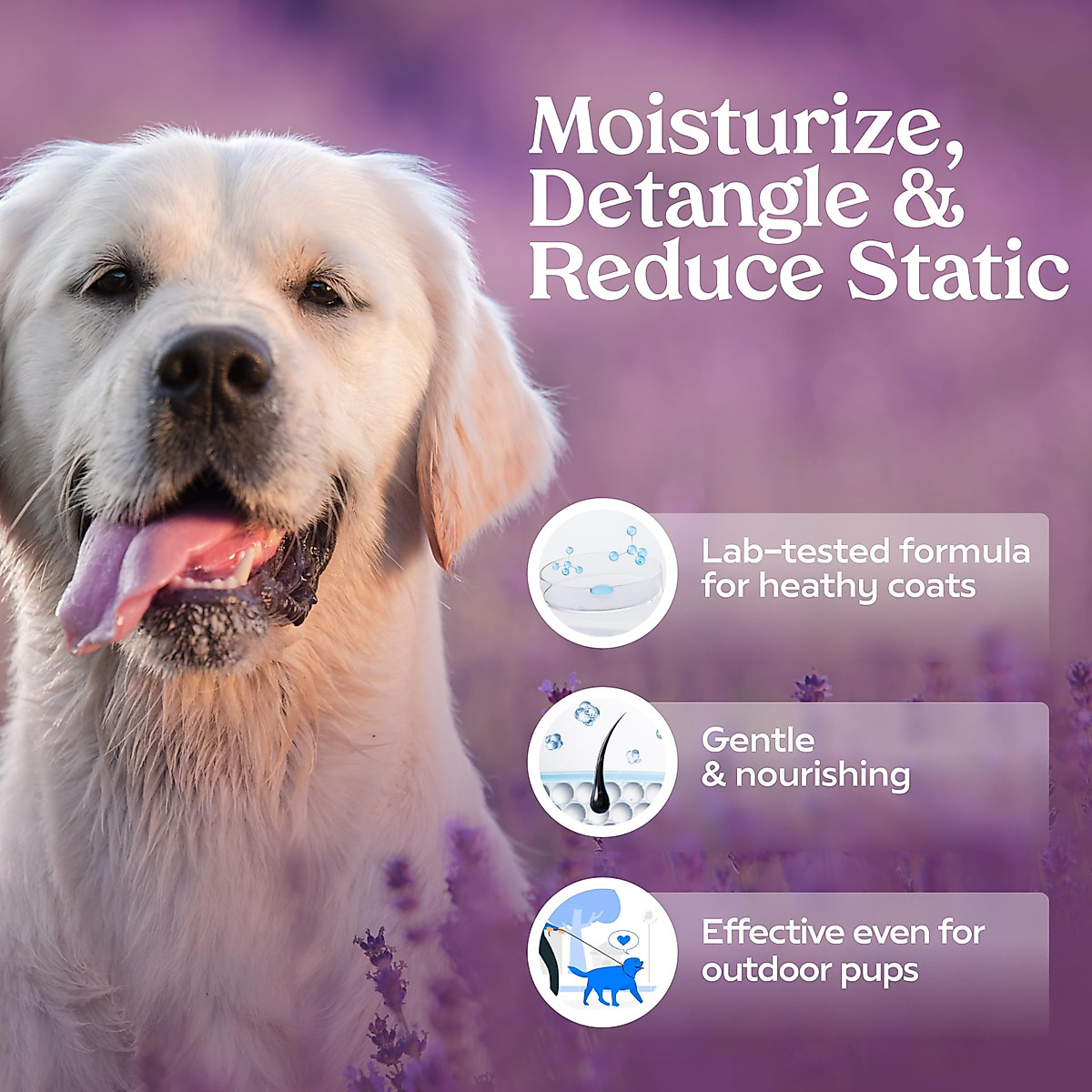 PAWFUME Grooming Dog Spray (Lavender) + Dog Shampoo and Conditioner (Royal Lavender) + Ear Cleaner for Dogs