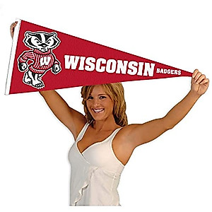 Wisconsin Badgers Bucky Badger Logo Pennant