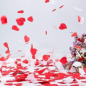 Whaline 6000 Pieces Valentine's Day Paper Confetti Red Heart Tissue Confetti Party Table Decorations for Balloon, Wedding, Holiday, Birthday
