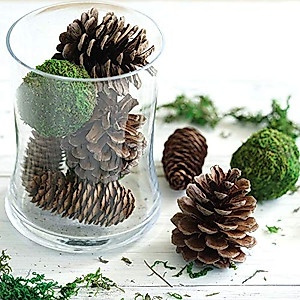 Farmoo Moss Balls Preserved All Natural, 3.5"-Set of 6 (Natural Green)