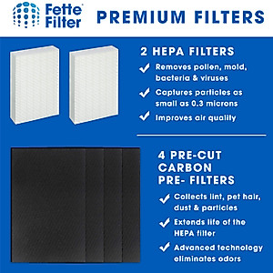 Fette Filter - True HEPA H13 Filter R Compatible with Honeywell Purifier HPA200 HPA200C HPA201 HA202 HPA204 HPA204C HPA250 HPA250B HPA250BC HPA3200 HPA5200 Series # HRF-ARVP200 Filter R PreFilter A