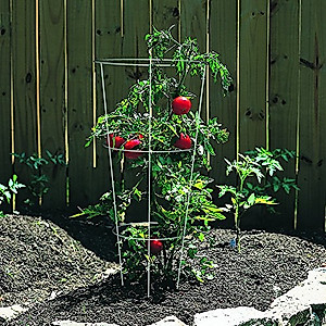 Panacea Products 89723 Tomato and Plant Support Cage,Galvanized, Pack of 10