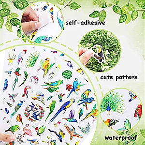 Watercolor Bird Stickers Party Favors 730 Counts Animal Jungle Woodland Tropical Birds Flamingo Parrot Stickers Gift Water Bottle Scrapbook Laptop Planner Stickers Kids Boys Girls Birthday Party