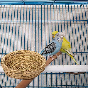 4 Pcs Bird Nest Handmade Woven Flat Base Bird Nest Breeding Nest Small Animal Bed House Bird Cage Accessories for Dove Pigeon Parrot Budgie Parakeet Cockatiel Hamster Gerbil Pig (8.66 Inch)