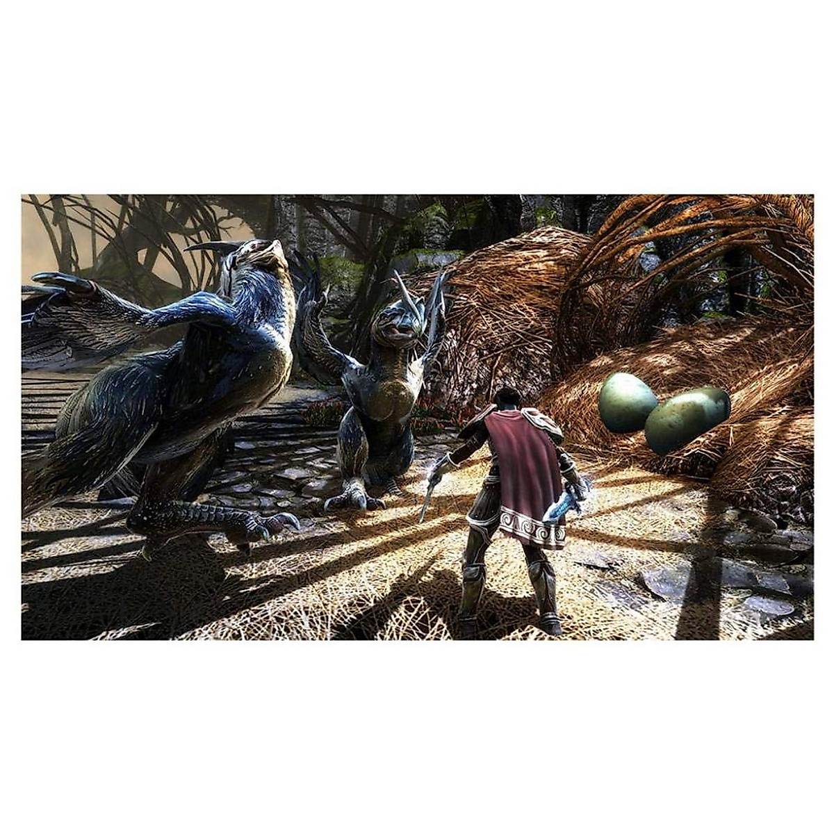 Kingdoms of Amalur Re-Reckoning - PlayStation 4