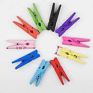Clothes Pins, Colored Clothespins 200 PCS 0.98" Natural Birchwood Close Pins, Strong Grip, Colorful Clothespins, Multi-Purpose Colored Clothes Pins for Crafts, Hanging Clothes, Laundry