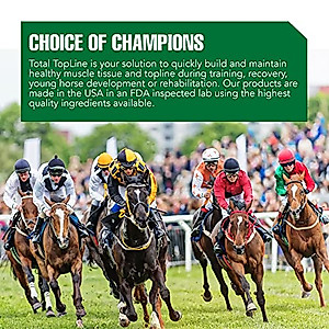 Ramard Total Topline Powder Horse Supplements - Build and Maintain Muscle Tissue During Recovery for Foals and Horses - Protein & Amino Energy Horse Supplement - 2lb Tub