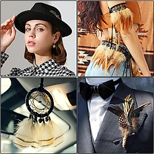 180pcs 6 Style Natural Feathers Assorted Mixed Feathers for Dream Catcher Crafts Decoration (6 Styles/180 Pcs)