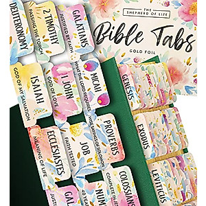 Bible Tabs Gold Floral - Soul Nourishing Book Summaries - 66 Peel-and-Stick SilkTouch Laminated Bible Tabs Large Print | Gold Bible Tabs for Women, Floral Bible Tabs for Study Bible, Bible Book Tabs