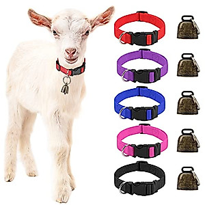GINDOOR 5 Pack Goat Collars with Bells, Cow Horse Sheep Grazing Copper Bells and Adjustable Nylon Collar Set Pet Anti-Lost Loud Bronze Bell for Small Farm Animal Goat Sheep Cow Accessories