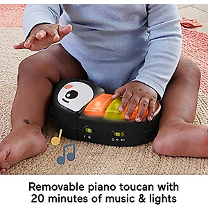 Fisher-Price Baby Bouncer Palm Paradise Jumperoo Activity Center With Music Lights Sounds And Developmental Toys