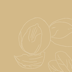 SheaMoisture Raw Shea Butter Deep Treatment Masque Hair Treatment, 12 Ounce