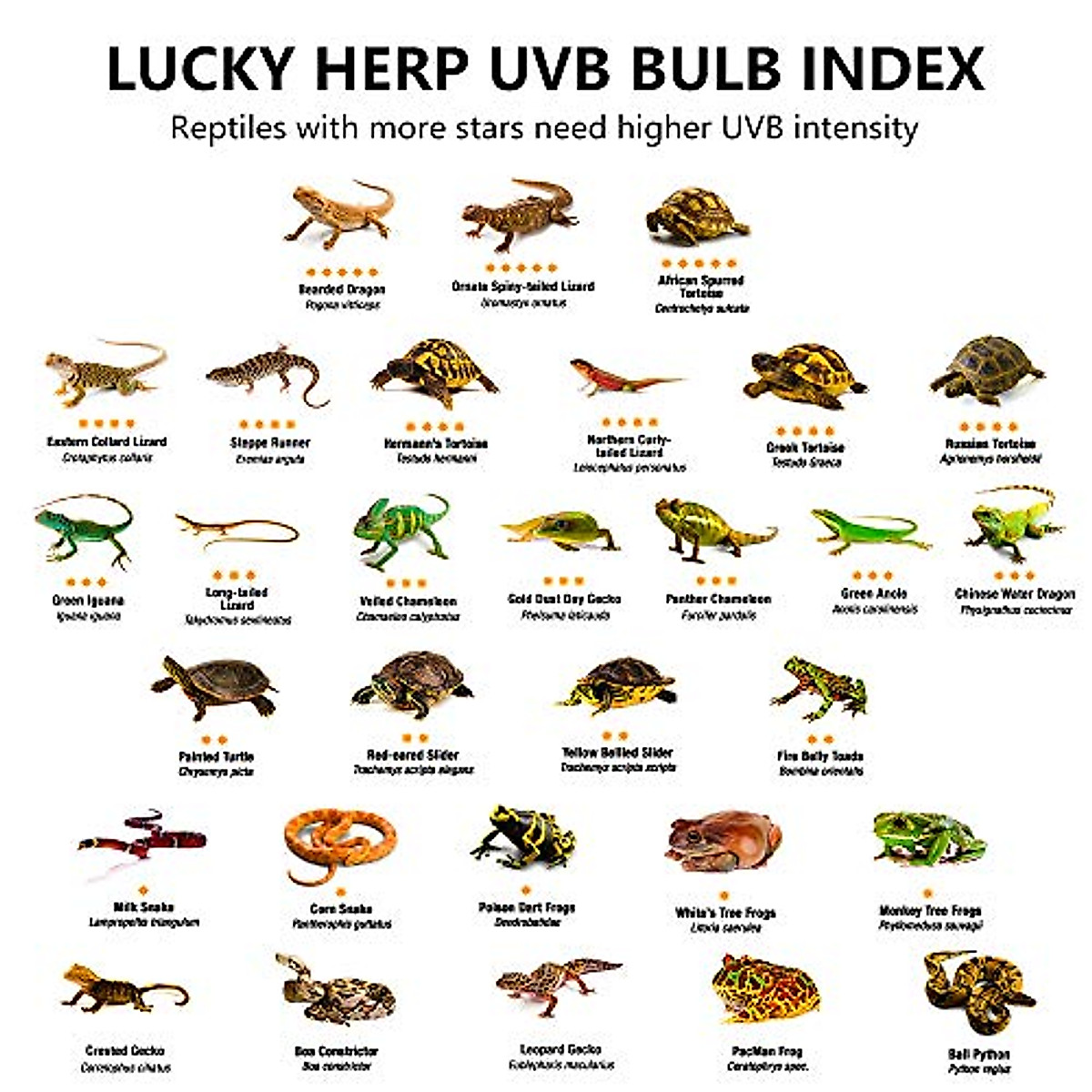 LUCKY HERP UVA UVB Reptile Light 10.0, Desert UVB 150 Compact Fluorescent Lamp 23W