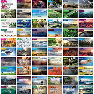 Logos Trading Post Pass Along Scripture Card Variety Pack | All 60 Designs | 1 of each Design | Pack of 60 - Assortment 13