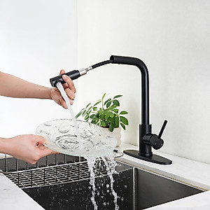 TRYWELL Kitchen Faucets with Pull Down Sprayer Stainless Steel Kitchen Sink Single Handle Utility Modern Black Kitchen Faucet and Deck Plate for Kitchen Bar Camper RV E-64-BK