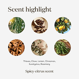 Young Living Thieves Household Cleaner - Ultra-Concentrated formula - 14.4 fl oz