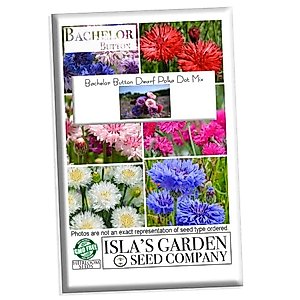 "Dwarf Polka Dot Mix" Bachelor Button Flower Seeds for Planting, 200+ Seeds Per Packet, (Isla's Garden Seeds), Non GMO & Heirloom Seeds, Scientific Name: Centaurea cyanus, Great Home Garden Gift