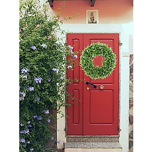 Delicaft 17" Artificial Boxwood Plastic Wreaths Spring Summer Front Door Wall Home Garden Office Wedding Decor (Green) (Green)