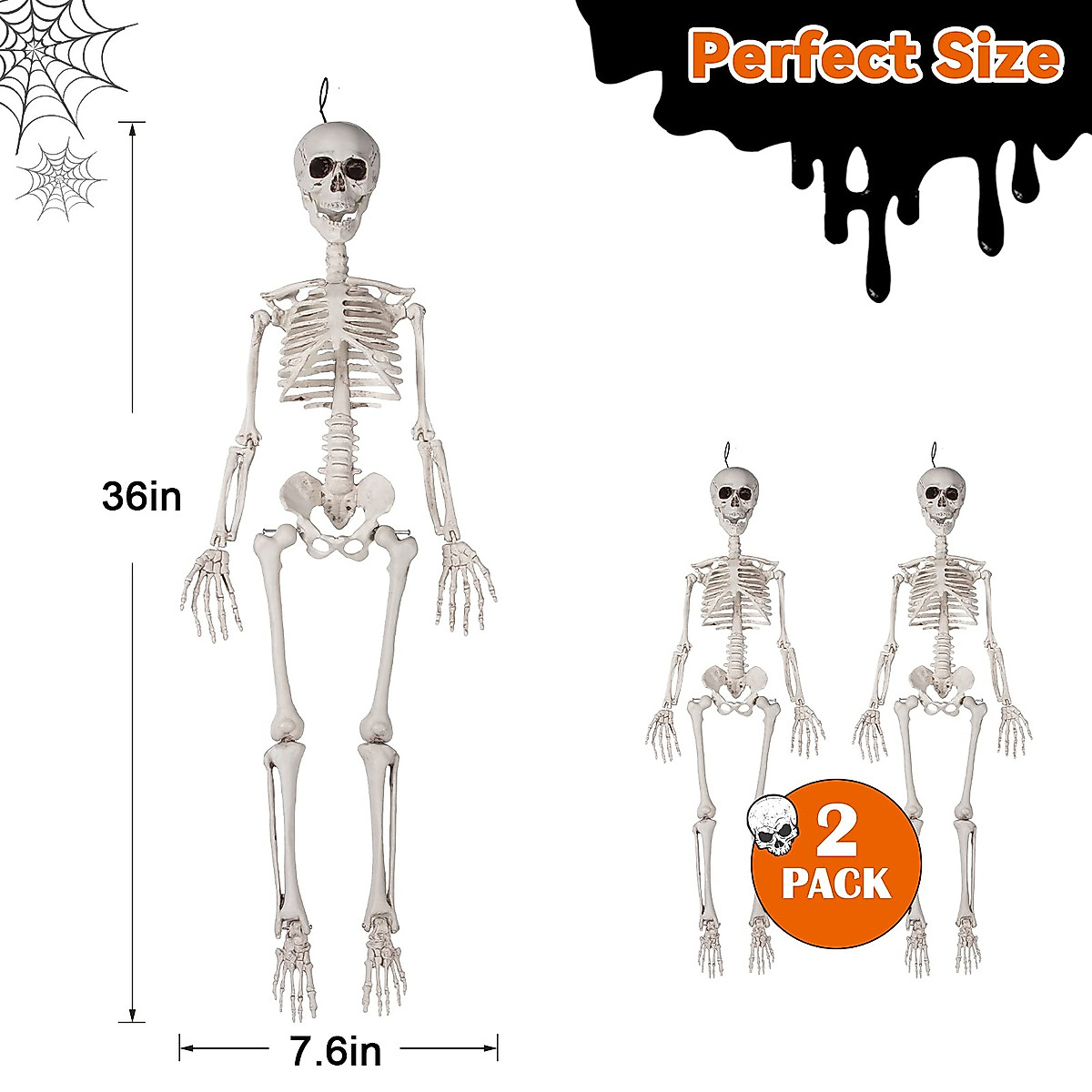 DECORLIFE 2 Pack 36" Skeleton Halloween Decorations, Plastic Posable Skeleton Decor with Movable Joints for Haunted Houses, Lawn, Graveyard, Trunk or Treat (White)